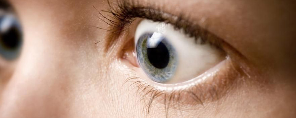 Macam - Macam Bentuk Mata Lengkap